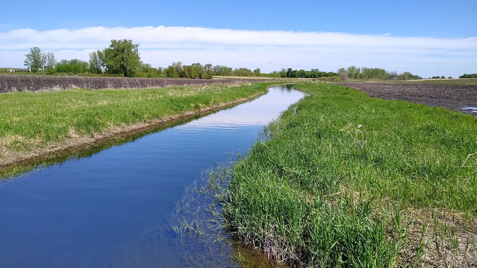North Fork Crow River Mitigation Bank | Projects