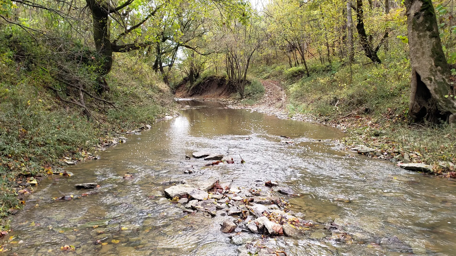 Richland Creek Mitigation Bank | Projects Richland Creek Mitigation Bank | Projects